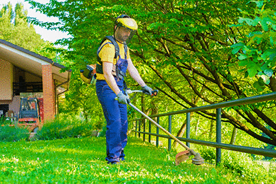 Hiring A Lawn Care Service | What You Should Know